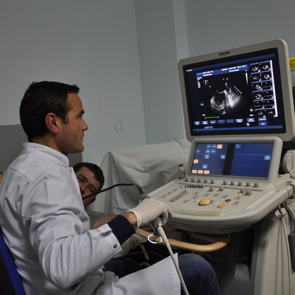 Проф. Емил Иванов Манов, дм, Кардиология | CredoWeb