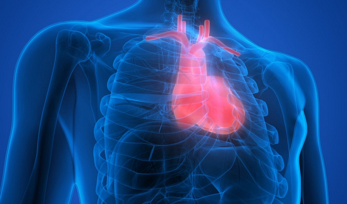 Gout drug Colchicine repurposed to fight heart disease | CredoWeb